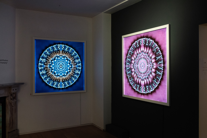 The Lightbox Series - Sally McKay | .M Contemporary