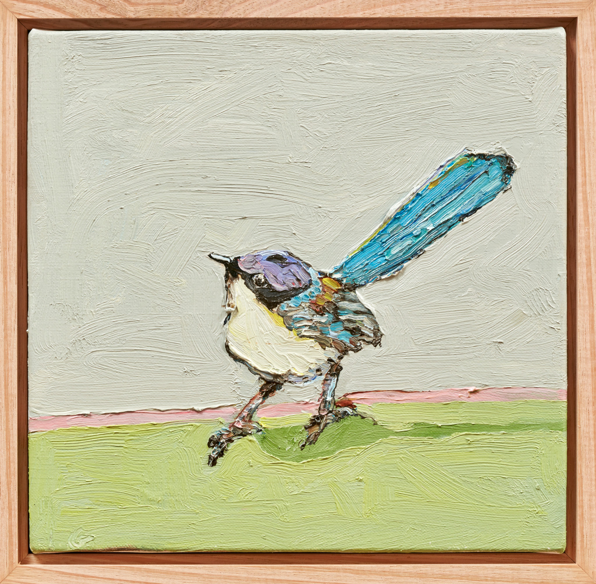 The Fairy Wren - Jane Guthleben