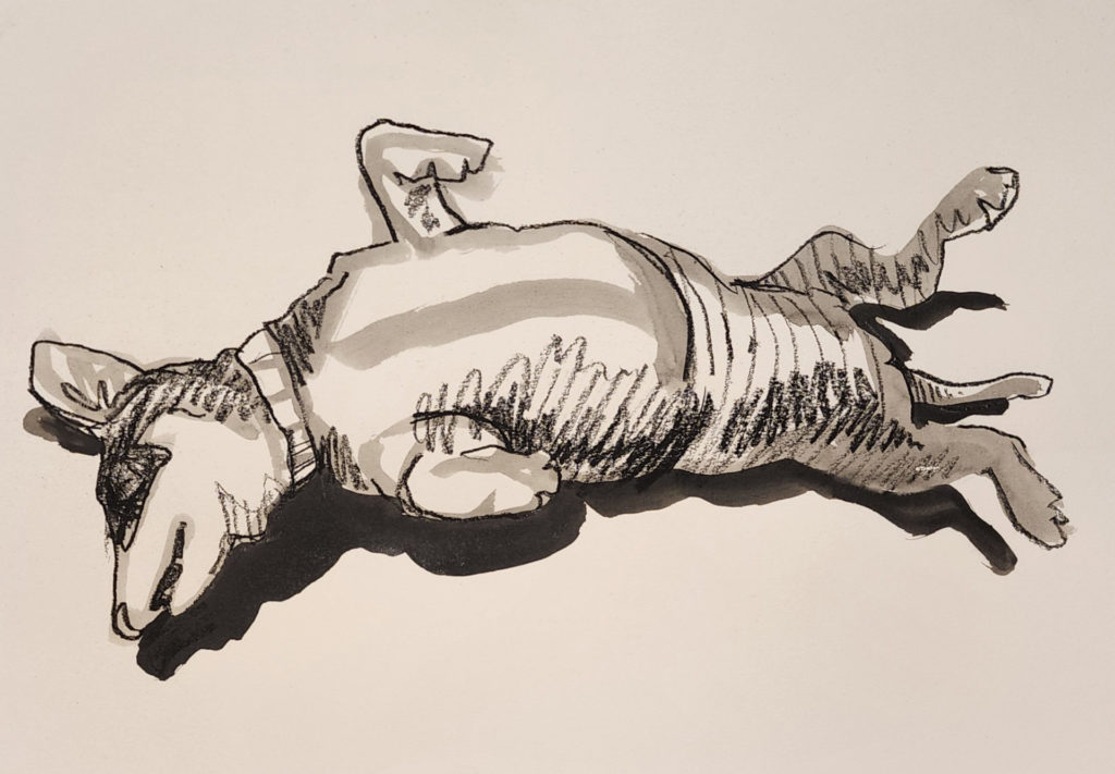 Molly Sleeping - Todd Fuller