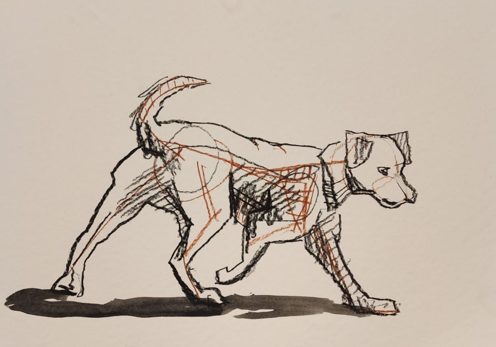 Puppy study II - Todd Fuller